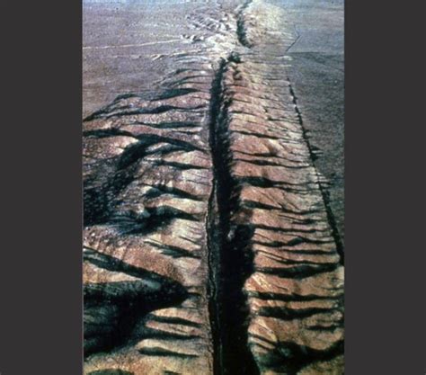 Lord Ficks Zayed And Associates Inc Seismic Engineering Associates