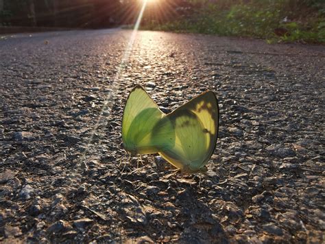 อุทยานแห่งชาติแม่จริม