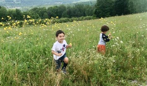 Non Native Plants May Add To The Success And Diversity Of An Ecosystem