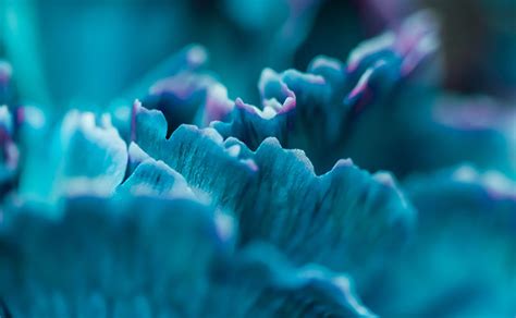 Business Applications Fujitsu Uk