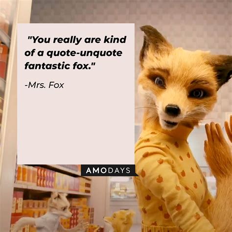 40 Fantastic Mr Fox Quotes To Tempt You Off The Straight And Narrow