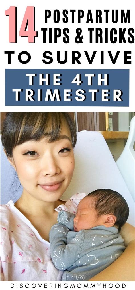 Fourth Trimester Artofit