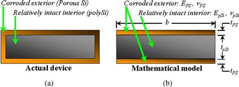 Schematic Representing A Cross Section Of An Actual Microcantilever