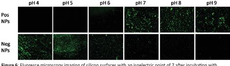 Figure 6 From Chemical Modifications Of Silicon Surfaces For The Generation Of A Tunable