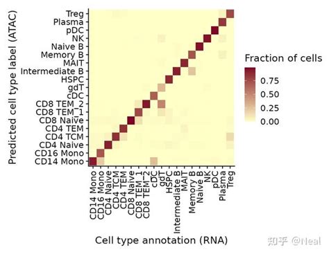 单细胞测序分析Seurat实操 案例4 整合 scRNA seq 和 scATAC seq 数据 知乎