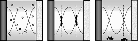 Enhanced Sedimentation Particles Within An Ultrasonic Field Left Are