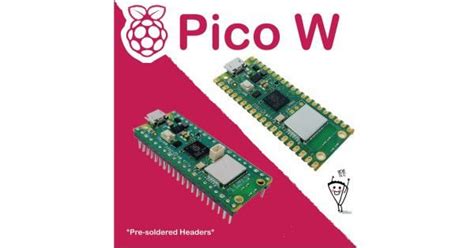 Raspberry Pi Pico Wireless Smd Or Pre Soldered Headers