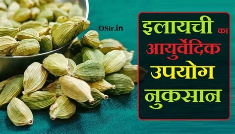 Elaichi Ke Fayde Aur Nuksan In Hindi OSir In
