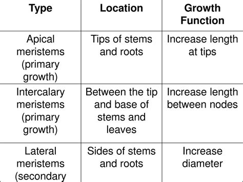 Plant Structure And Function Ppt Download