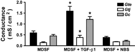 Transcellular And Paracellular Components Of Total Ion Conductance Of