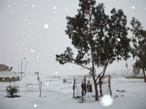 Snow Blankets Eastern Mediterranean Israel Palestine Syria Cyprus