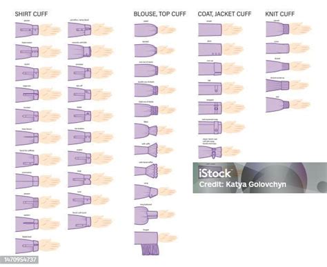 소매의 커프 세트 옷 유형 셔츠 니트 코트 재킷 탑 블라우스 기술 패션 일러스트 플랫 의류 클로즈업 템플릿 뒷면 여성 남성 남녀