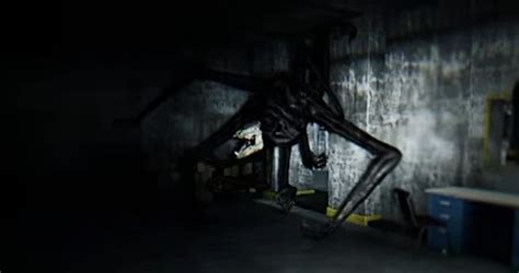 Aranea Membri Inside The Backrooms Wiki Fandom