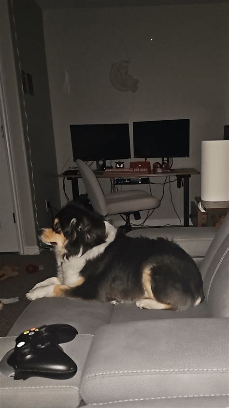 She Loves Watching Movies With Me Rwigglebutts