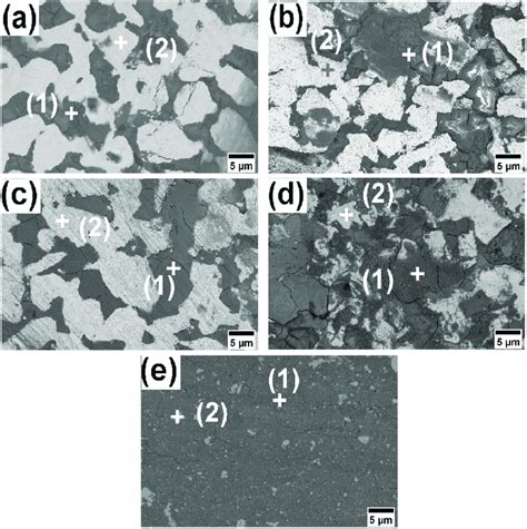 Sem Micrographs Of The Worn Surface At The Conclusion Of The