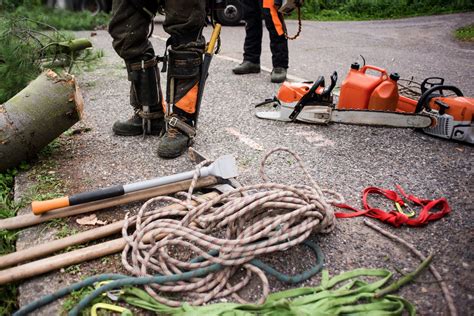 Why Arborists Should Avoid Buying Used Gear Western Tree Equipment