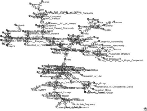 Result Of The First Iteration Download Scientific Diagram