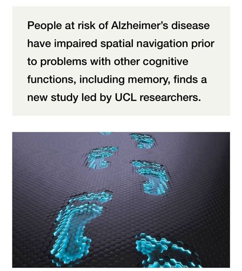 Spatial Navigation Alzheimersdisease Cognitive Memory Gender