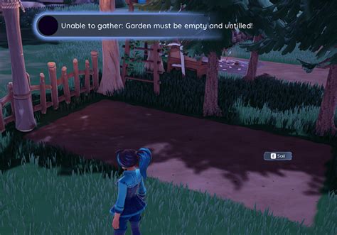 Garden Plot Error Rpalia