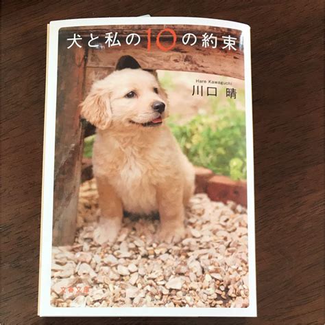 犬と私わたしの10の約束 メルカリ