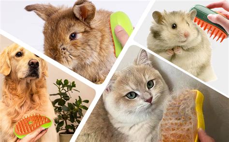 Steamy Cat Brush Spazzola Per Gatti 3 In 1 Spazzola A Vapore Per