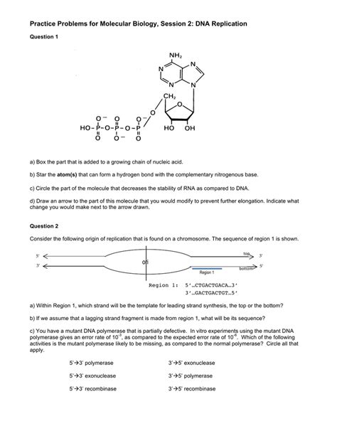 Dna Replication Practice Problems For Molecular Biology Session 2 Atp