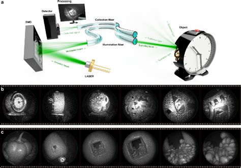 multimode fiber based far field endoscope a a sequence of holograms download scientific