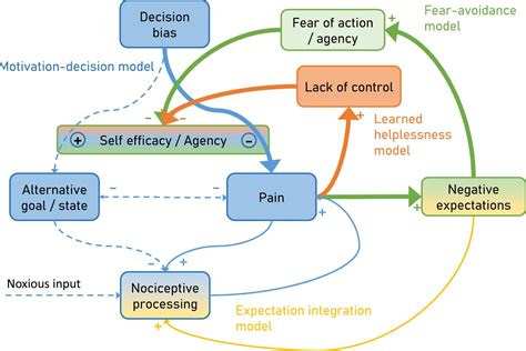 Figures And Data In The Role Of Expectations Control And Reward In The
