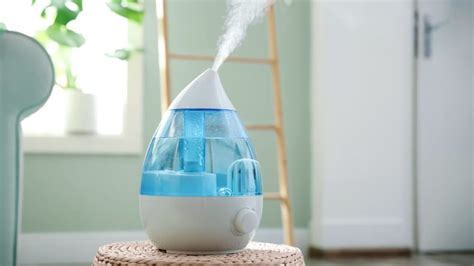 Impeller Humidifier Vs Ultrasonic Humidifier Which Is Better