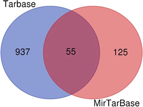 Venn Diagram Of The Overlapped Target Genes Between Mirtarbase And
