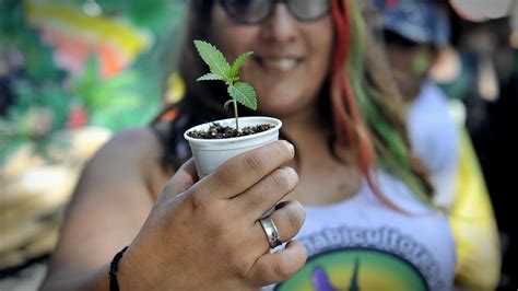 Fotos De La Marcha De La Marihuana En Buenos Aires Una Nube Verde Fiesta Y Reclamos Infobae