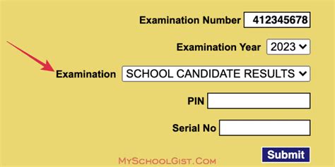 How To Check WAEC Result For 2024 Past Years MybabeGist