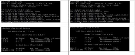 Ospf Quagga Ubuntu Cant Ping Over Two Routers Cisco Community