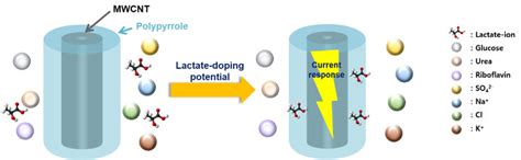 Schematic Illustration For Selective Detection Of Lactic Acid Without Download Scientific