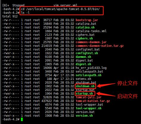 （linux）centos7版本安装配置java环境、tomcat、nginx并打包部署ssm框架web系统centos配置java环境