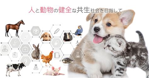 会員病院の紹介香川県獣医師会