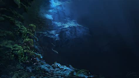 Blue Yonder On Behance