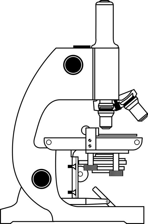 Clipart Microscope With Labels