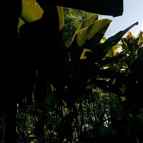 Dinahpriska • Instagram Photos And Videos