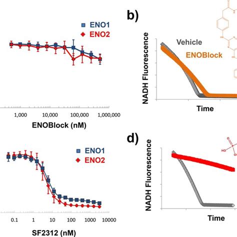 Fluorometric Nadh Linked Assay For Measuring Enolase Activity The