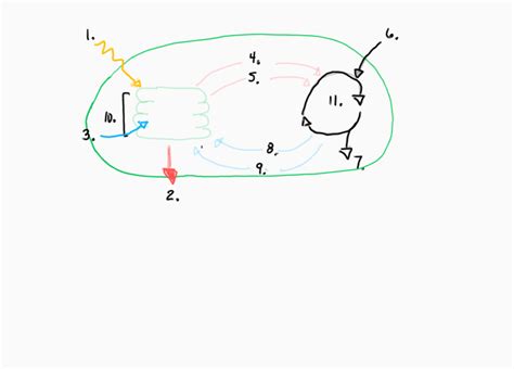 Unit 4 Overview Photosynthesis Diagram Quizlet