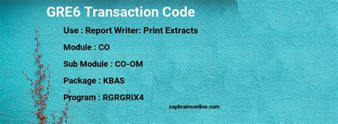 GRE SAP Tcode For Report Writer Print Extracts