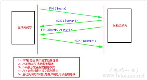 Wireshark抓包，带你快速入门 农码一生 博客园