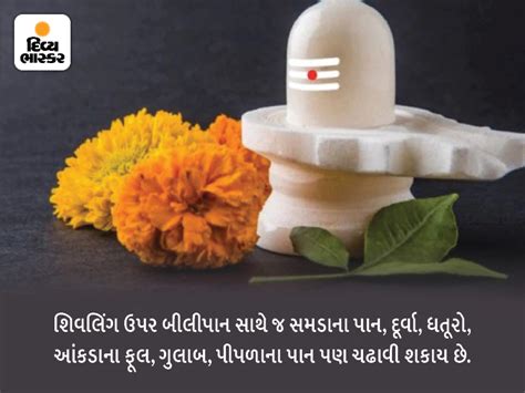 Importance Of Bilva Patra In Shiv Puja Shiv Puja Vidhi Tips About