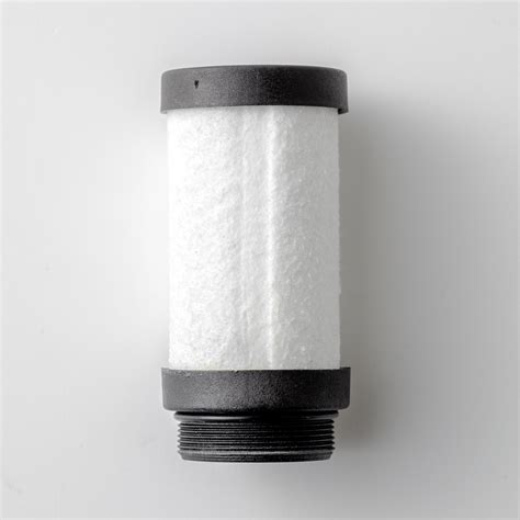 Coalescing Filter Cartridge Rgi Biosteryl Tech