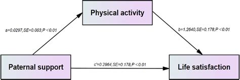Analytical Model Of The Mediating Role Of Physical Activity In The
