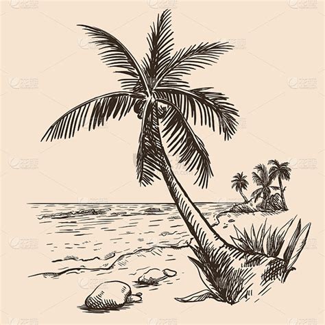 海滩和棕榈树夏天的时间