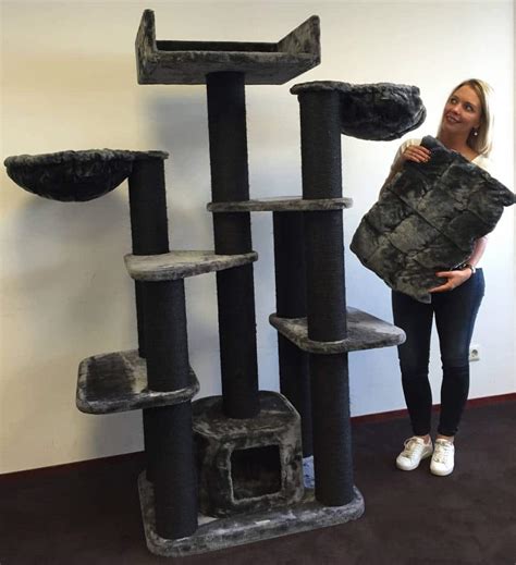 Arbre à Chat Maine Coon Fantasy Noiranthracite Livraison Gratuite Cat Tree Fr