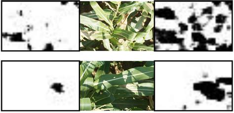 A Comparison Between The First Convolutional Neural Network Cnn Model