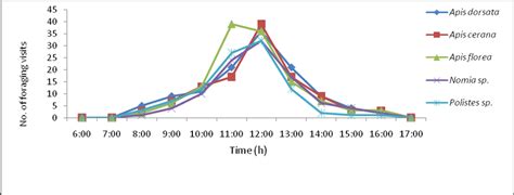 Hourly Foraging Activity Of Insects On Thespesia Populnea Download